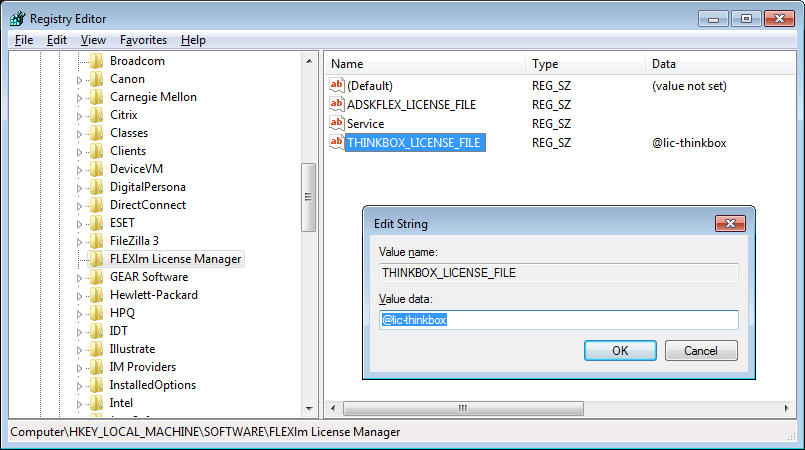Setting up Licensing Paths — License Server 1.4.0 documentation